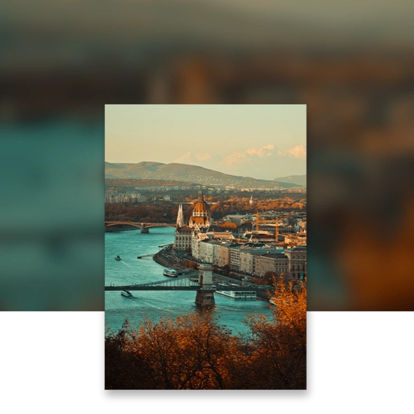 Wrapping Paper | PPD Group