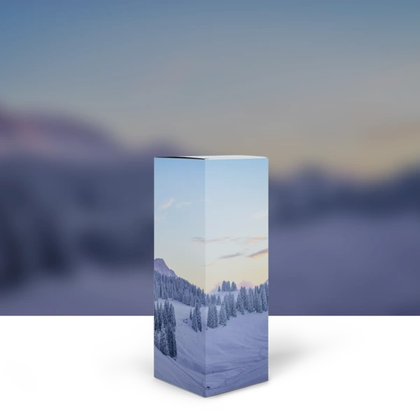 Promotional Boxes | PPD Group